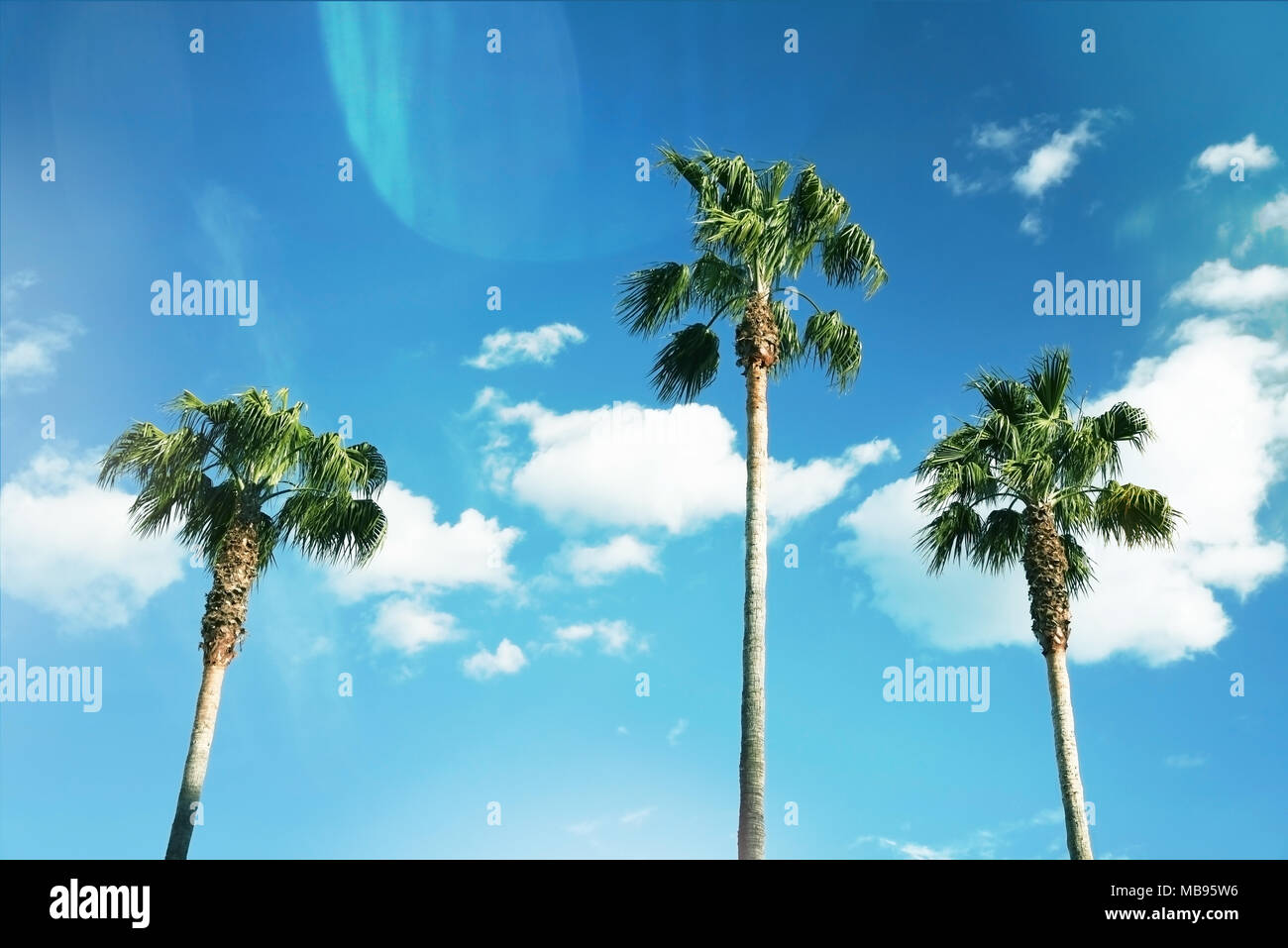 Nice Climate High Resolution Stock Photography and Images - Alamy
