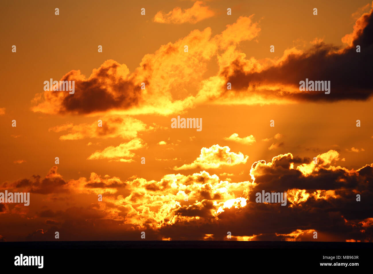 Golden early morning light hi-res stock photography and images - Alamy