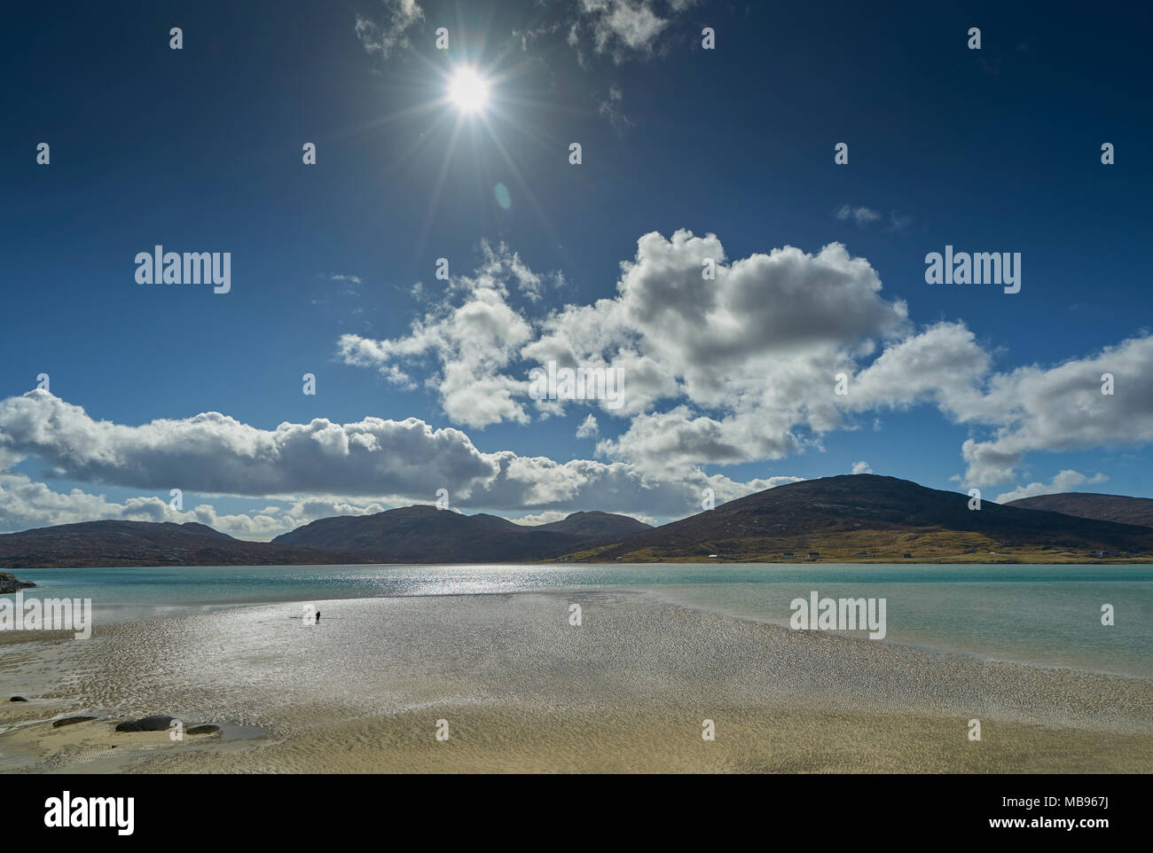 Young boy out collecting clams on a very low spring tide near ...