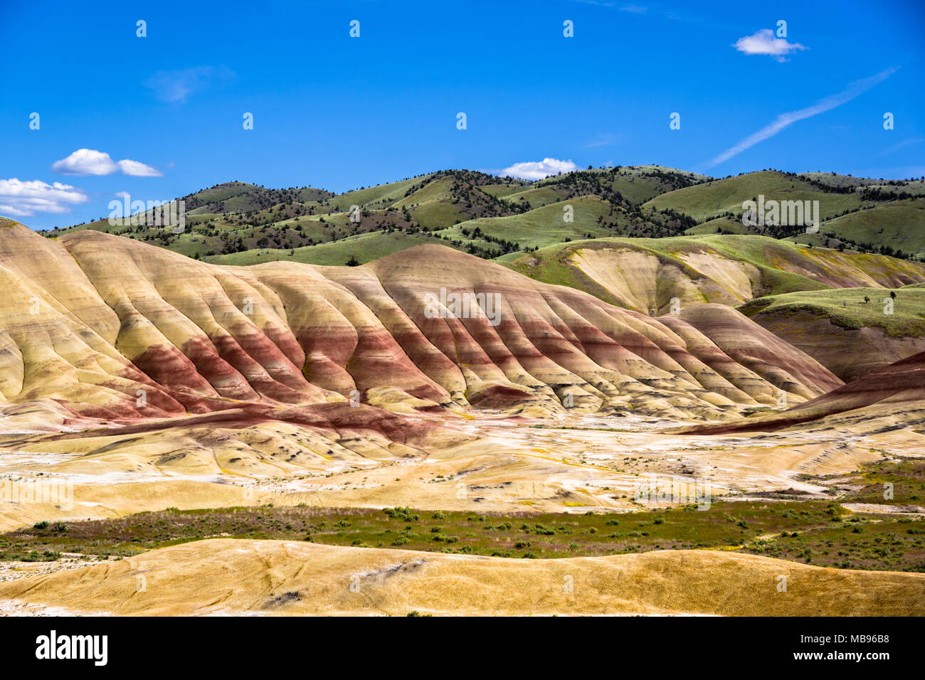 The Oregon Painted Hills. Bold red sandy soil makes stripes through the ...