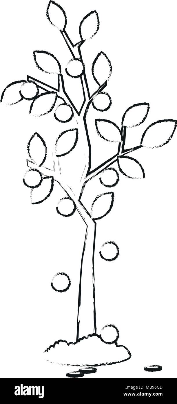 Plant of money sketch Stock Vector Image & Art - Alamy