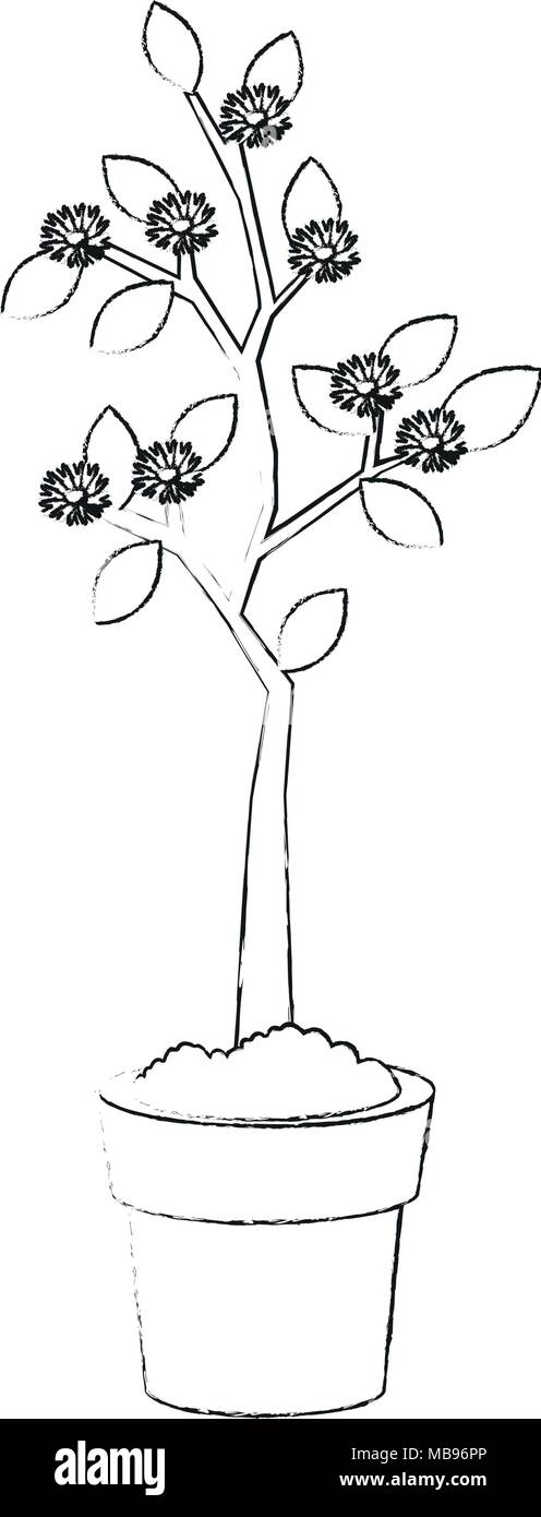 Plant growing on pot sketch Stock Vector Image & Art - Alamy