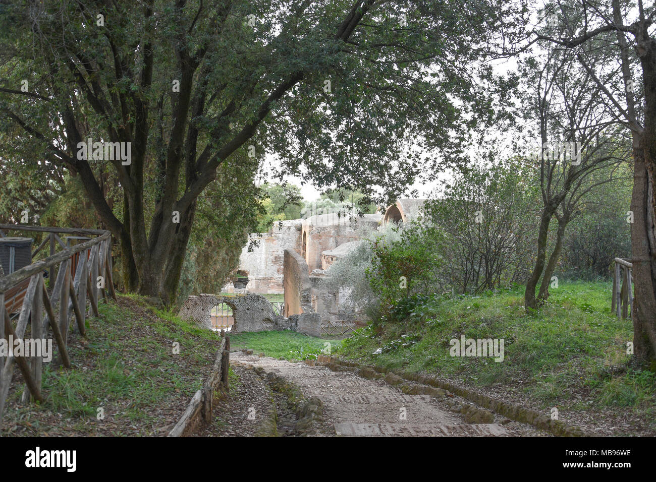 Olive trees at Hadrian's Villa, Tivoli Italy. The villa was built as a ...