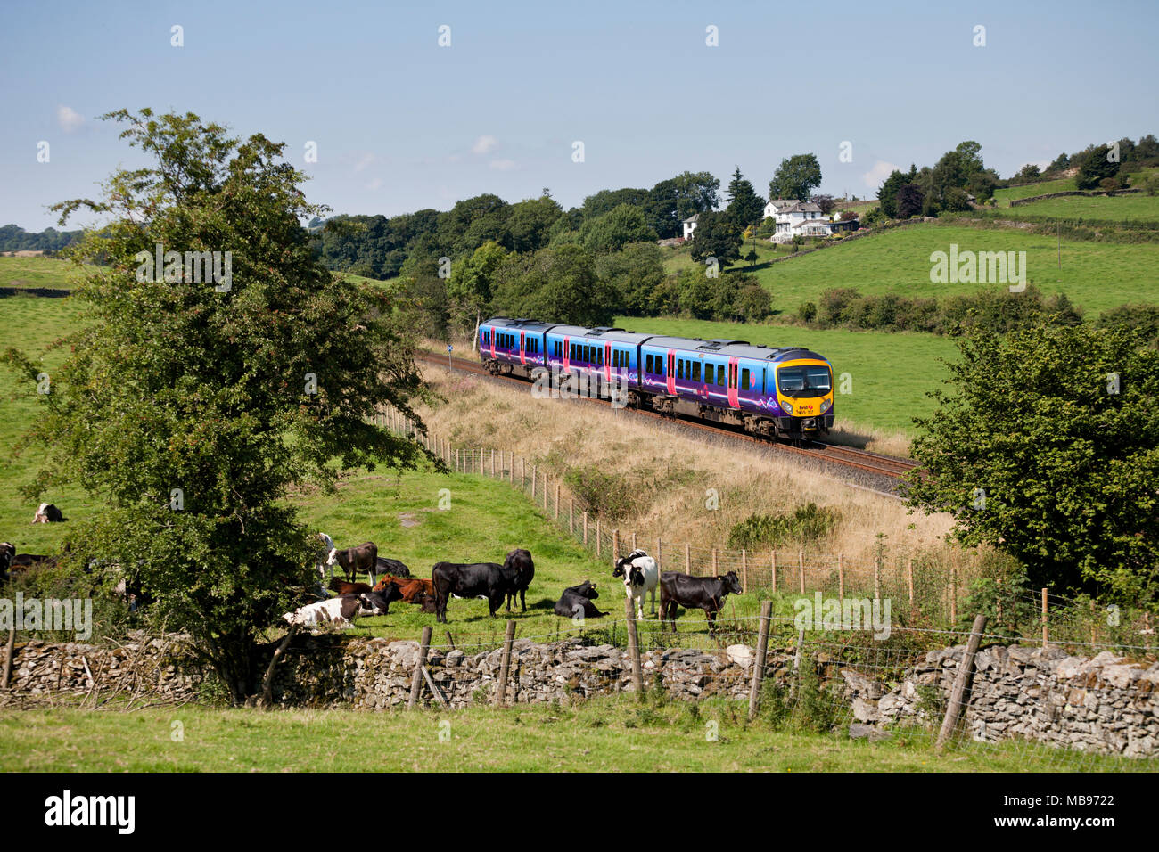 A Transpennine express class 185 diesel train at Bowston (west of ...