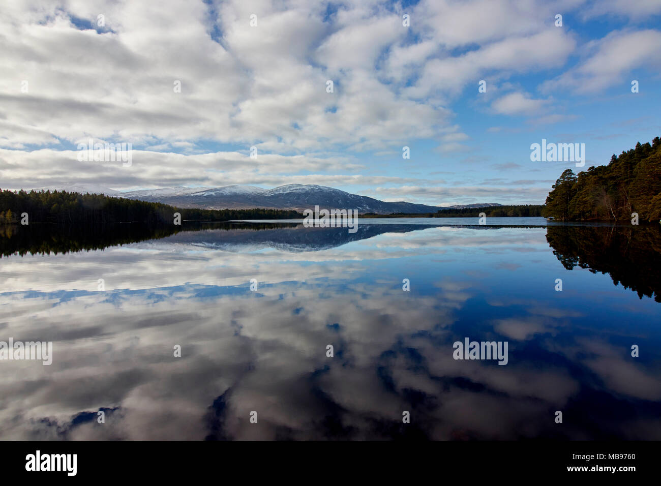 A view of the Loch Garten in winter Stock Photo - Alamy
