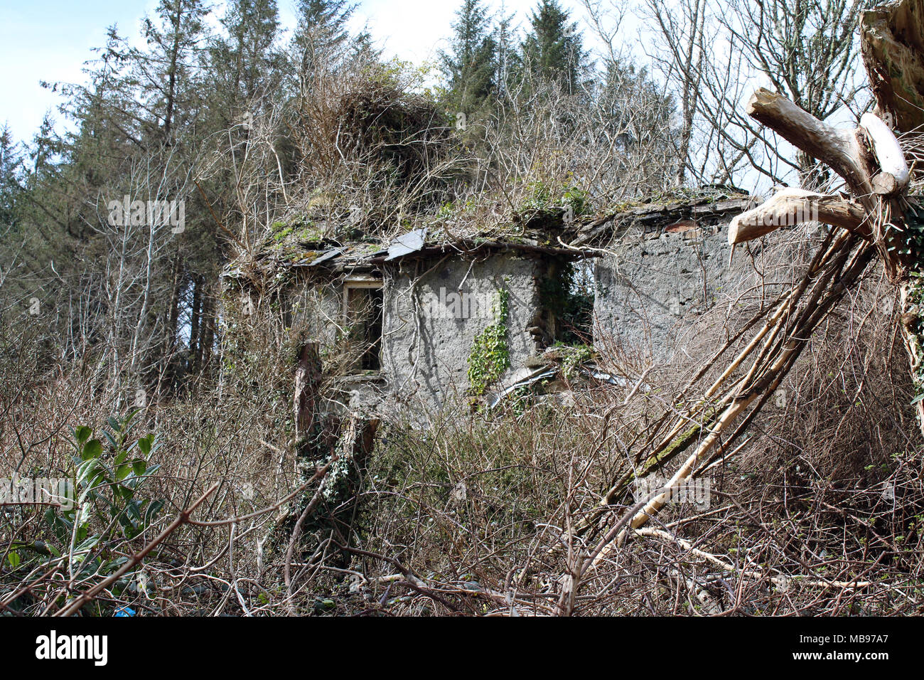 Spooky vibe hi-res stock photography and images - Alamy