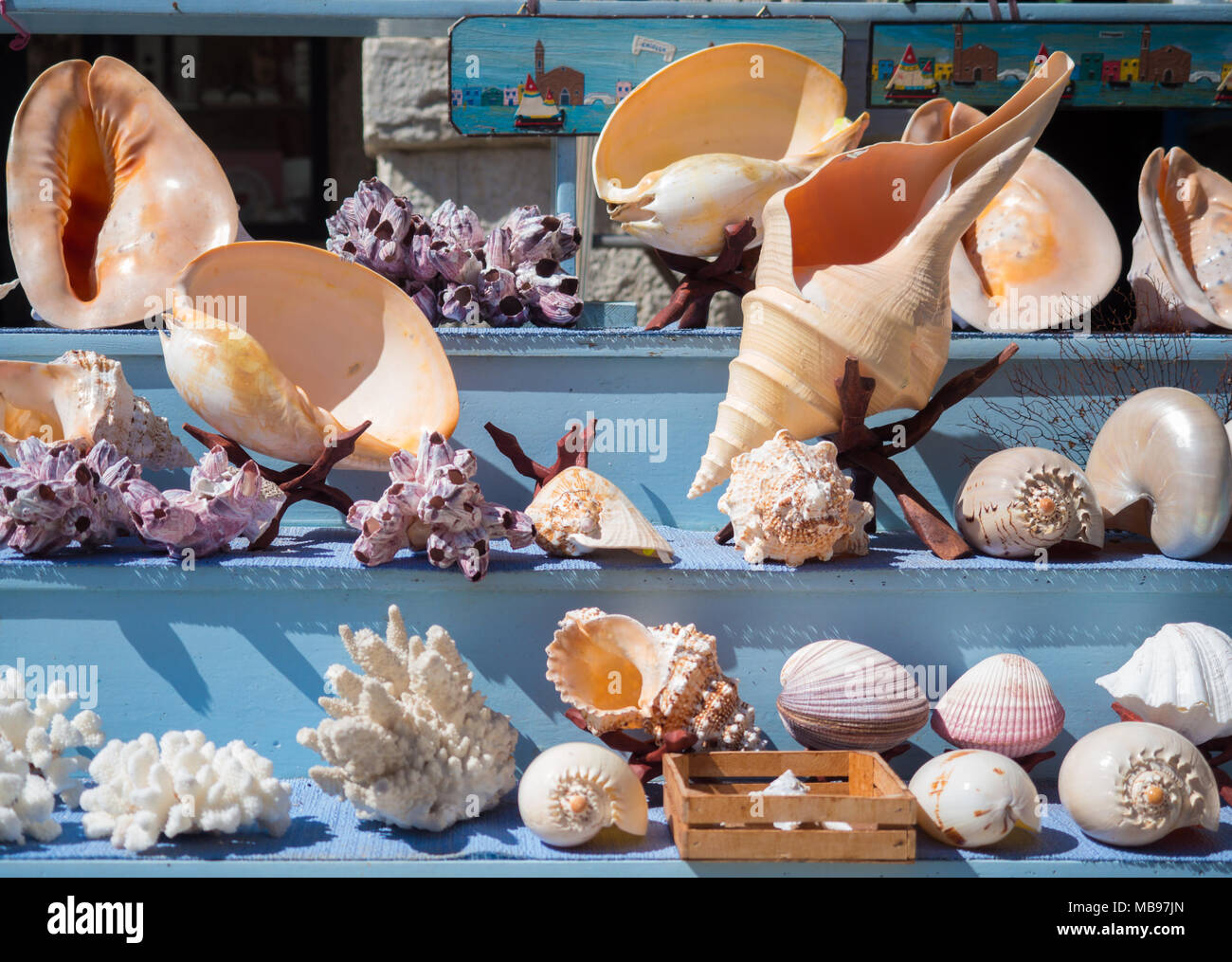 Sea shells for sale on a stall of a fishing village in southern Italy ...