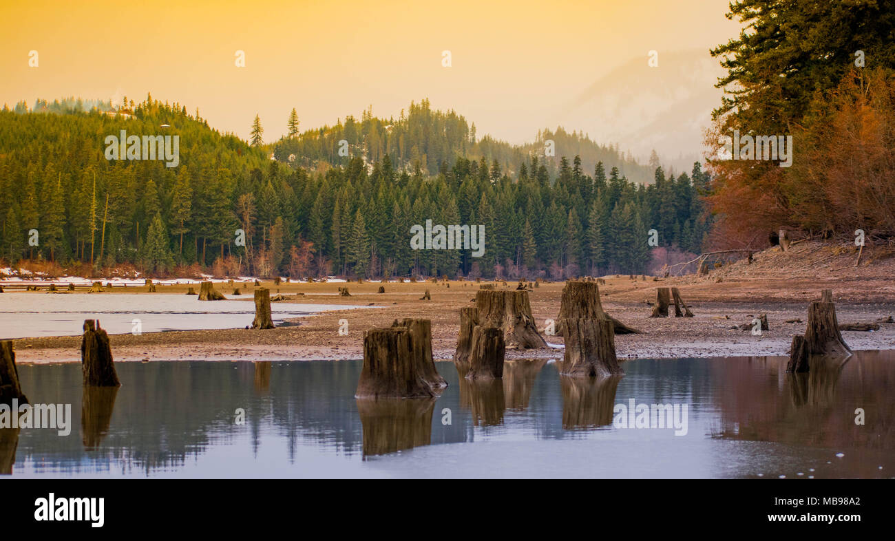 Stump Lake High Resolution Stock Photography and Images - Alamy