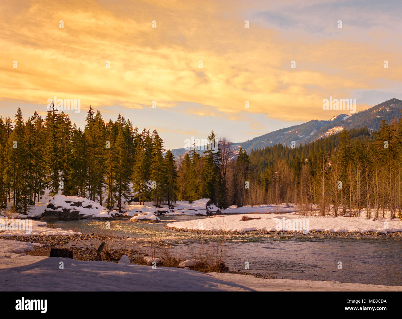 Washington cooper cooper hi-res stock photography and images - Alamy