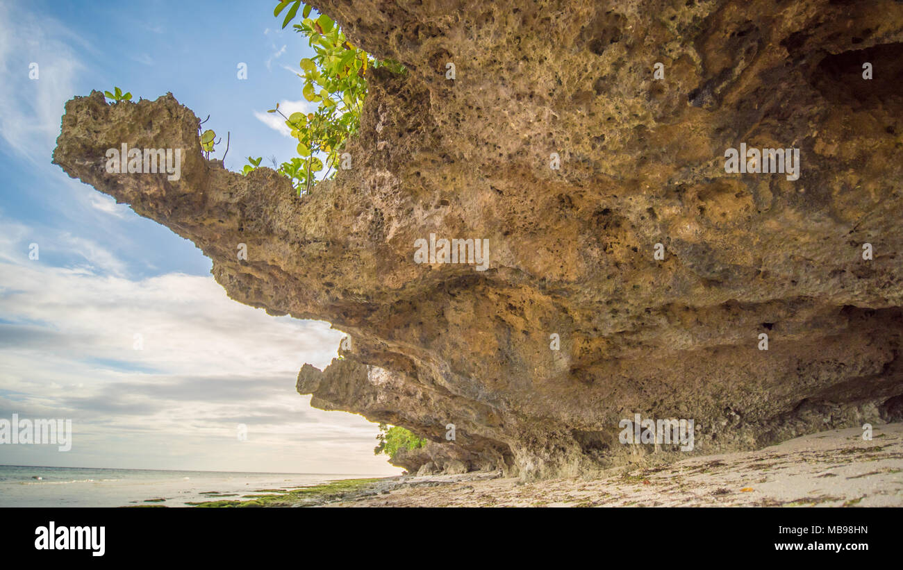 Beautiful gentle nature of the Philippines. The island of Bohol. A ...