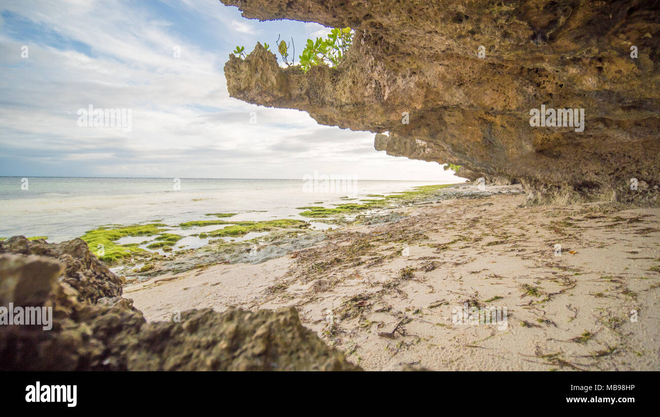 Beautiful gentle nature of the Philippines. The island of Bohol. A ...