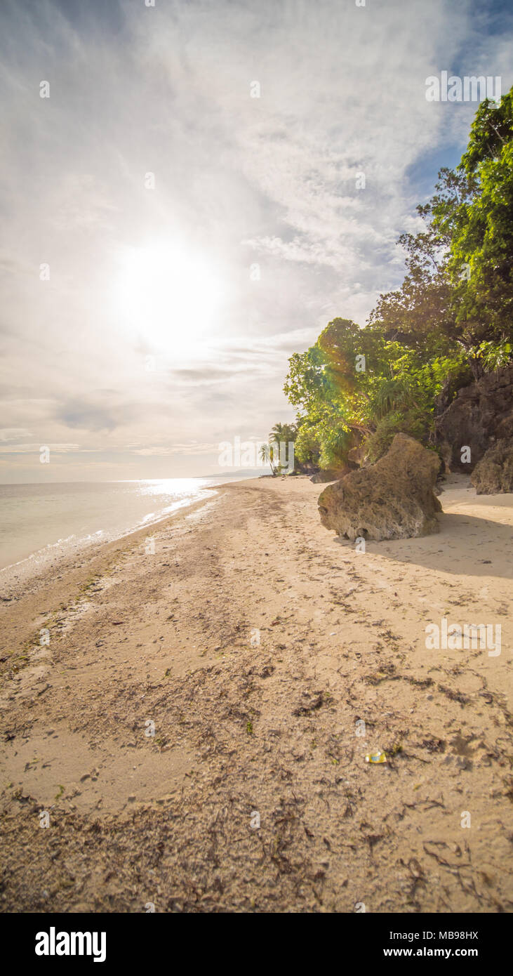 Beautiful gentle nature of the Philippines. The island of Bohol. A ...