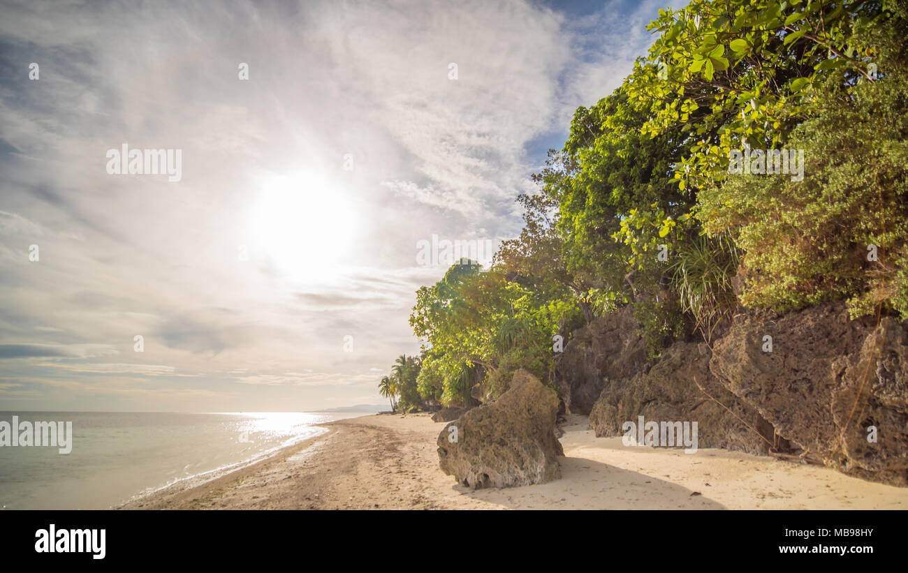 Beautiful gentle nature of the Philippines. The island of Bohol. A ...