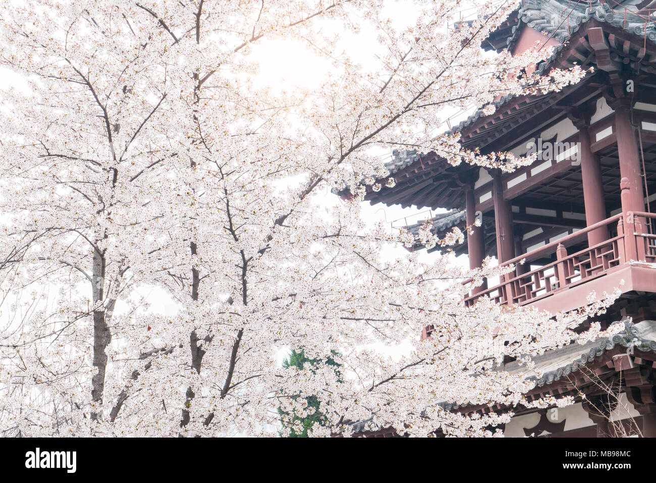 Qinglong temple hi-res stock photography and images - Alamy