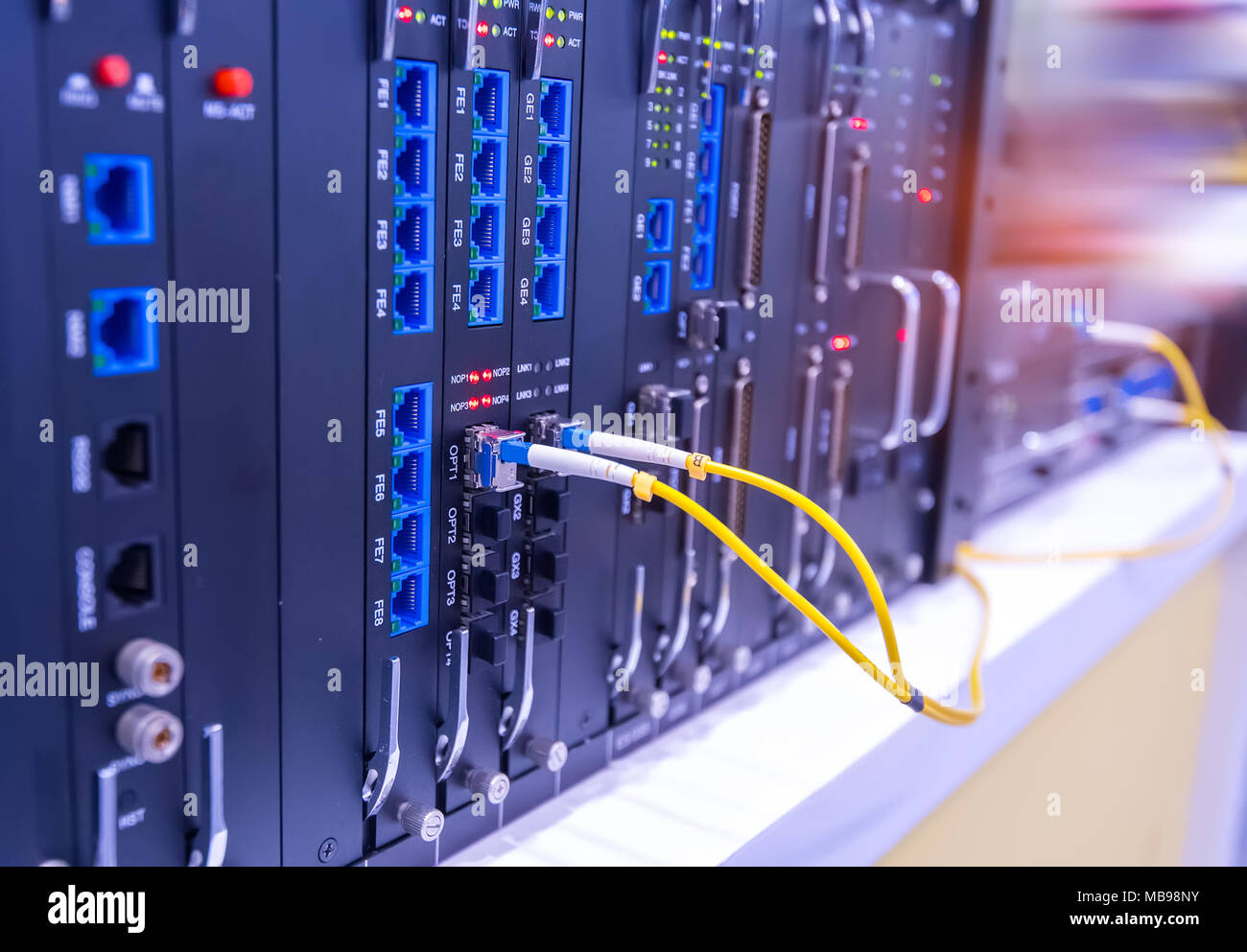 Fiber optic cable connected to card interface of networking switch ...