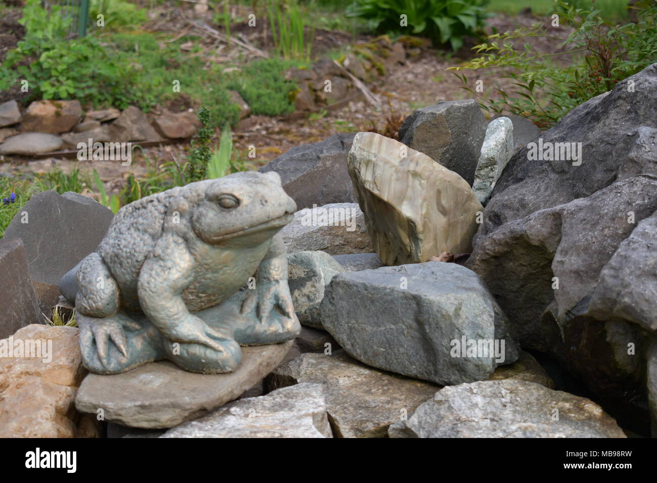 Frog stone hi-res stock photography and images - Alamy