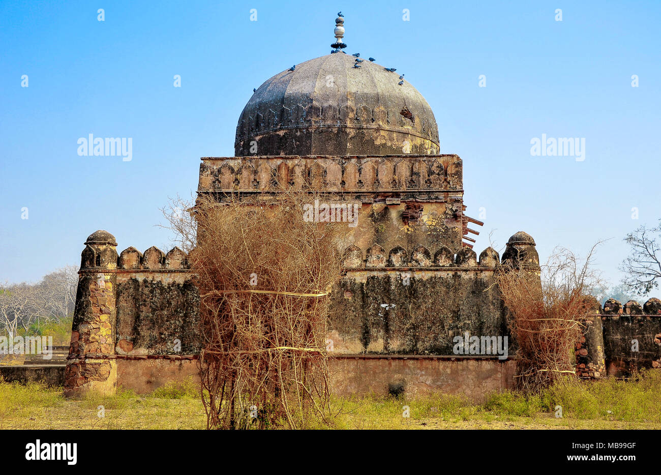 Chauhan hi-res stock photography and images - Alamy