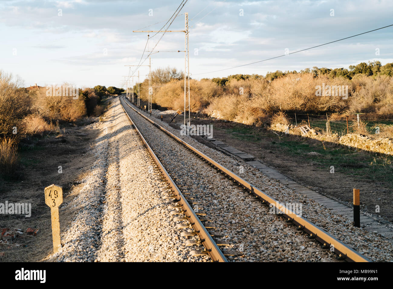 Railroad tracks straight ahead perspective in countryside. Sunset time ...