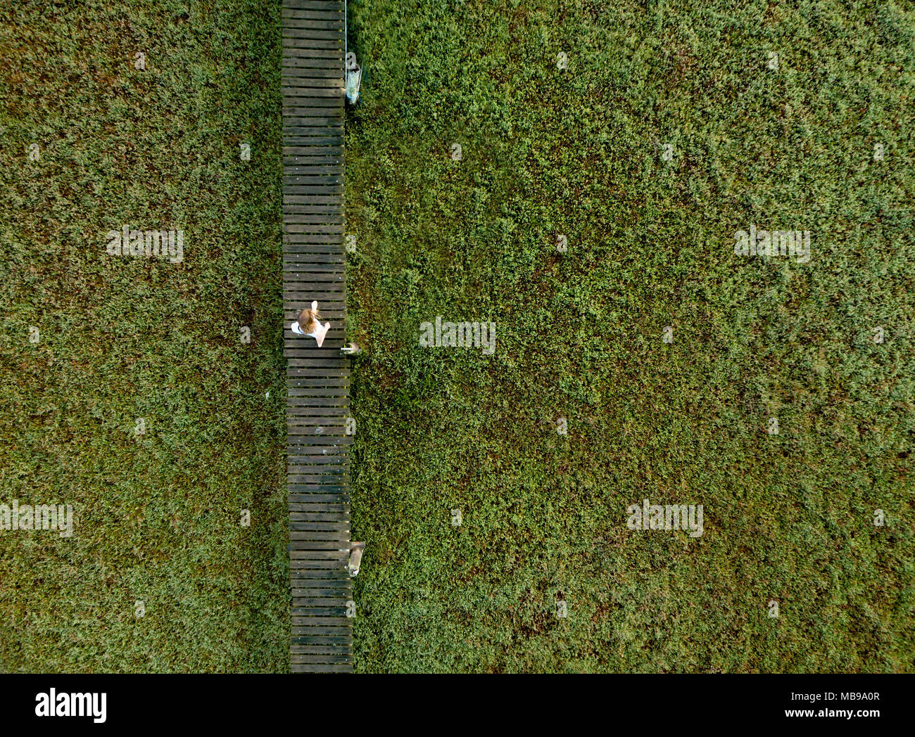 Aerial overhead a wooden walkway Stock Photo - Alamy