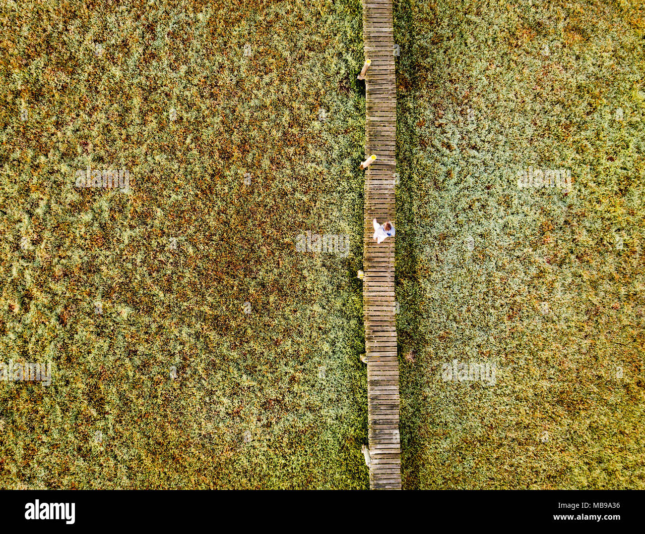 Aerial overhead a wooden walkway Stock Photo - Alamy
