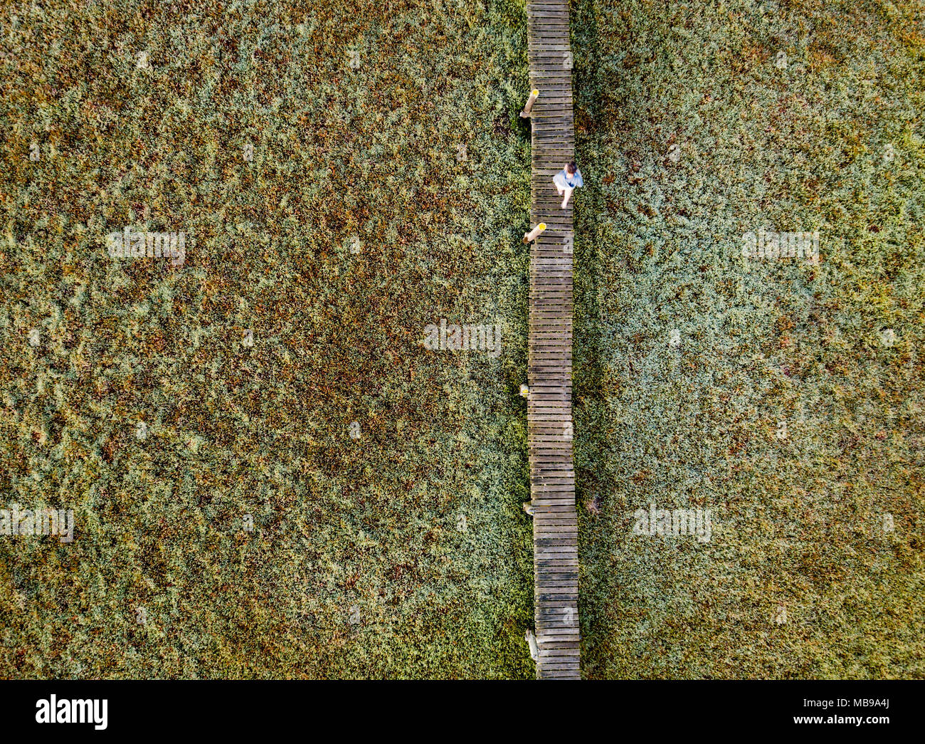 Aerial overhead a wooden walkway Stock Photo - Alamy