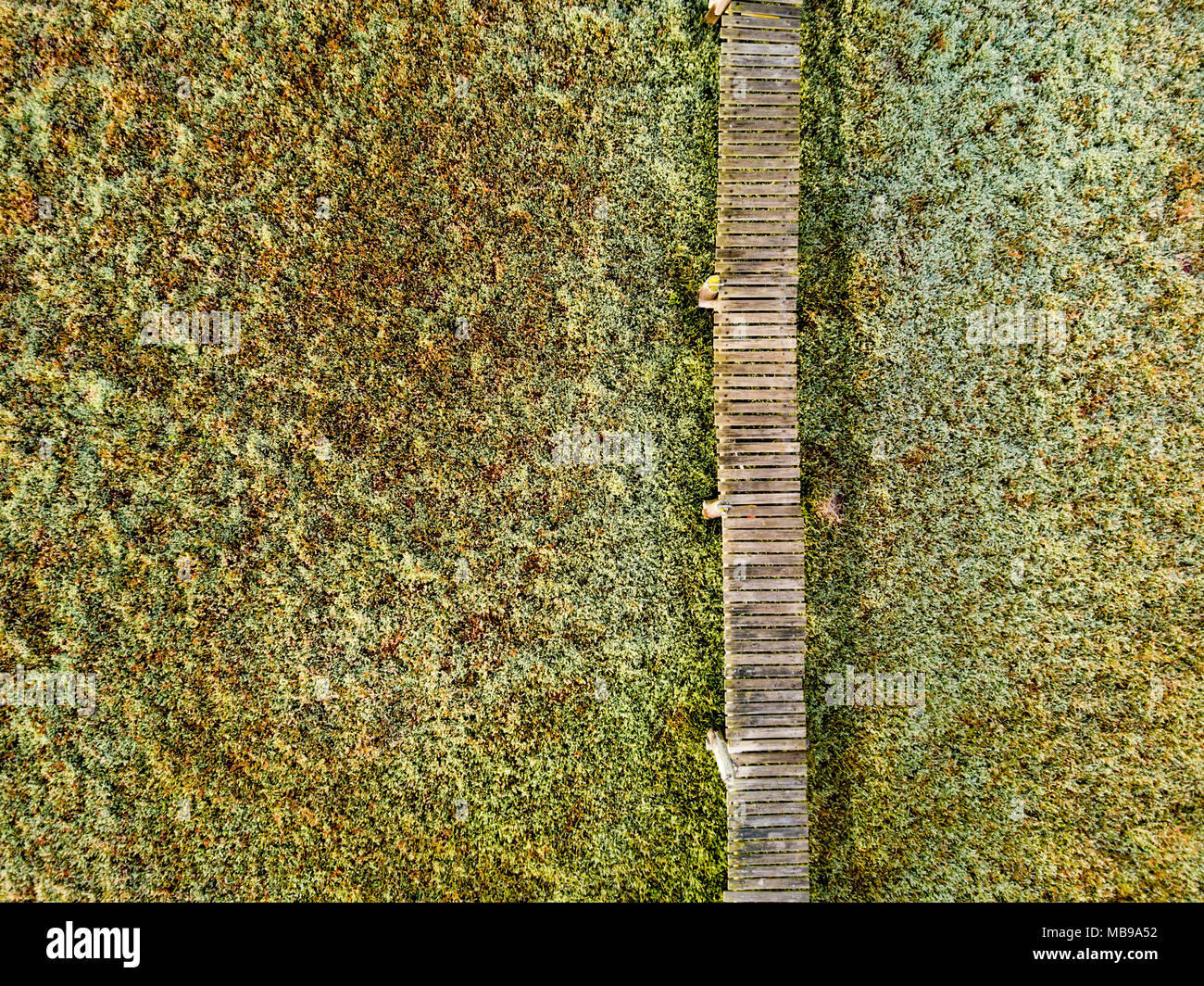 Aerial overhead a wooden walkway Stock Photo - Alamy