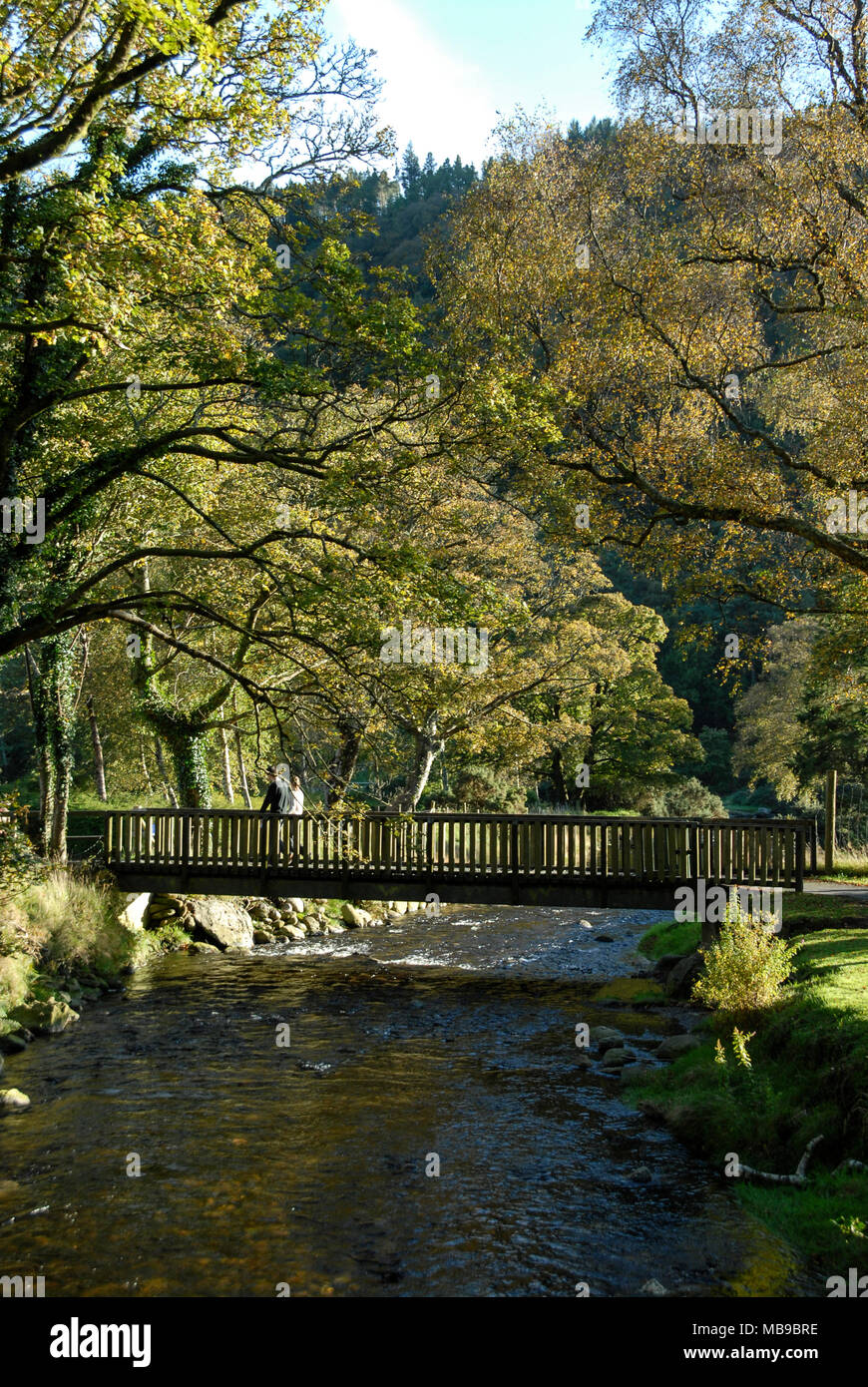 Glendalough footbridge hi-res stock photography and images - Alamy