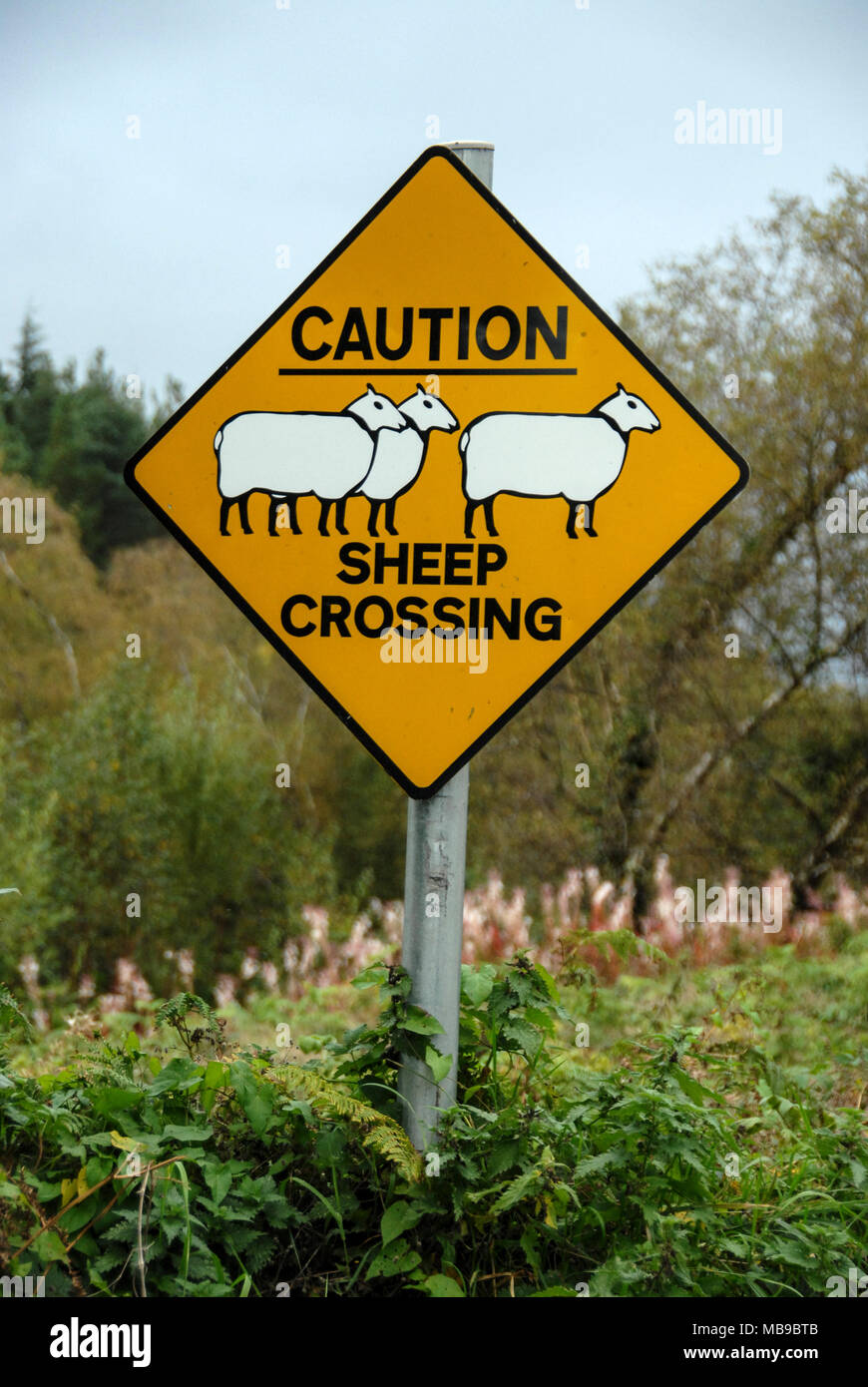 Road sign in Wicklow national park, Ireland Stock Photo - Alamy
