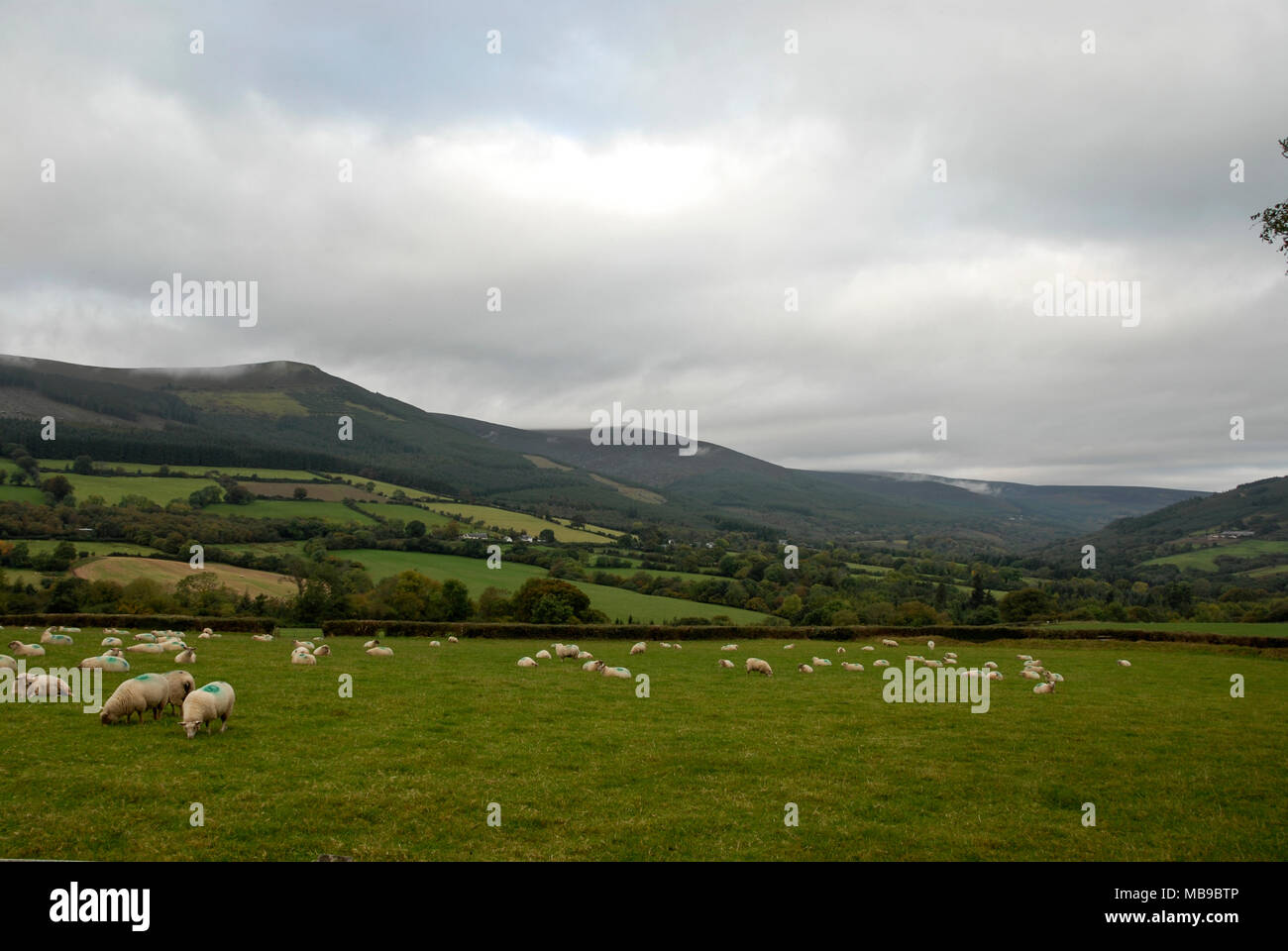 Remote country scenes in the Wicklow national park, Ireland Stock Photo ...