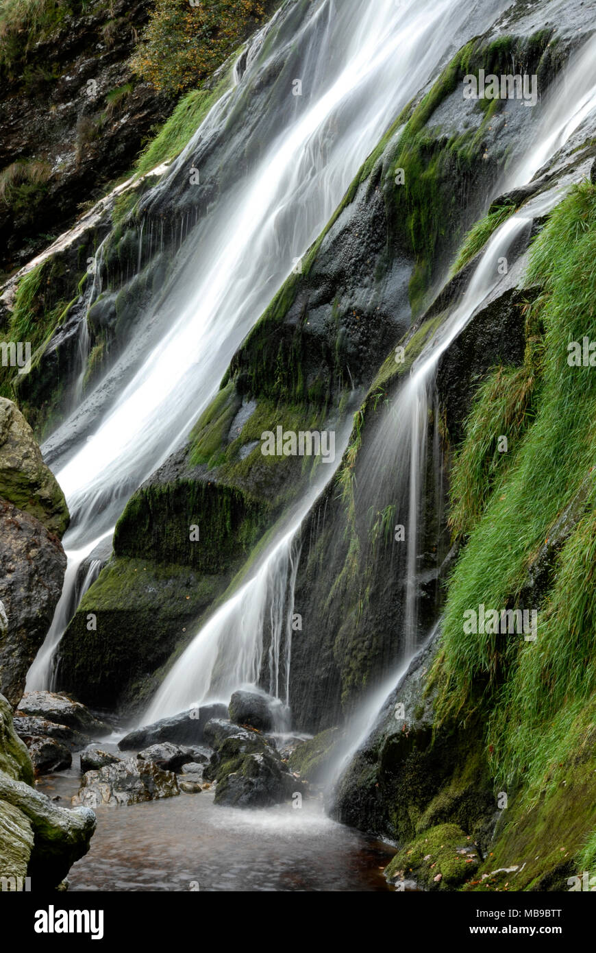 The Powerscourt waterfall (the highest waterfall at 121 metres in ...