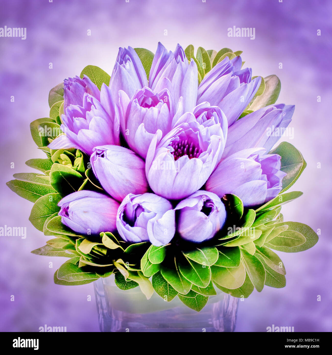 Purple lotus flower bouquet in a vase, view from above Stock Photo - Alamy