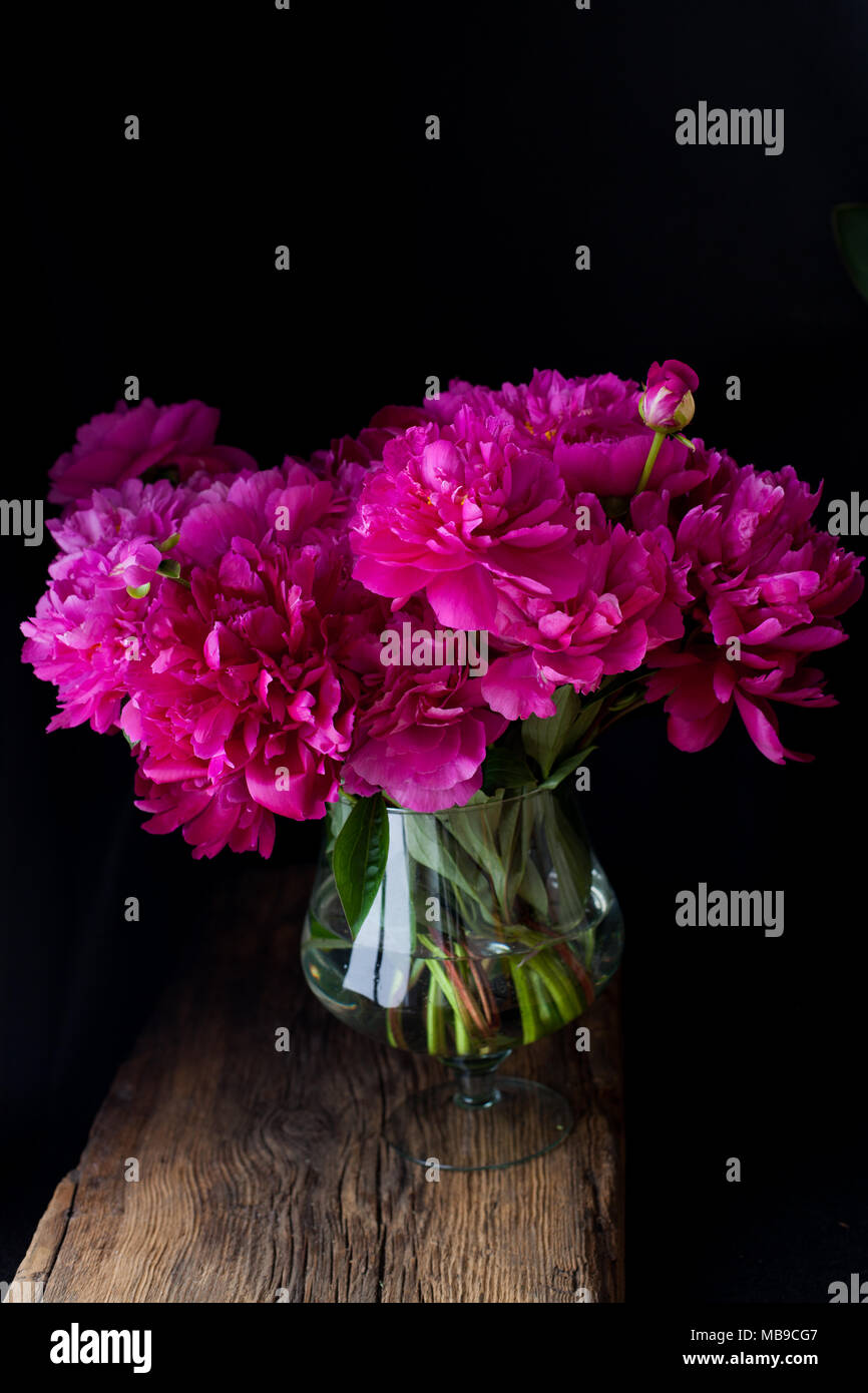 burgundy, red, bright red peonies - bouquet on a black background Stock ...