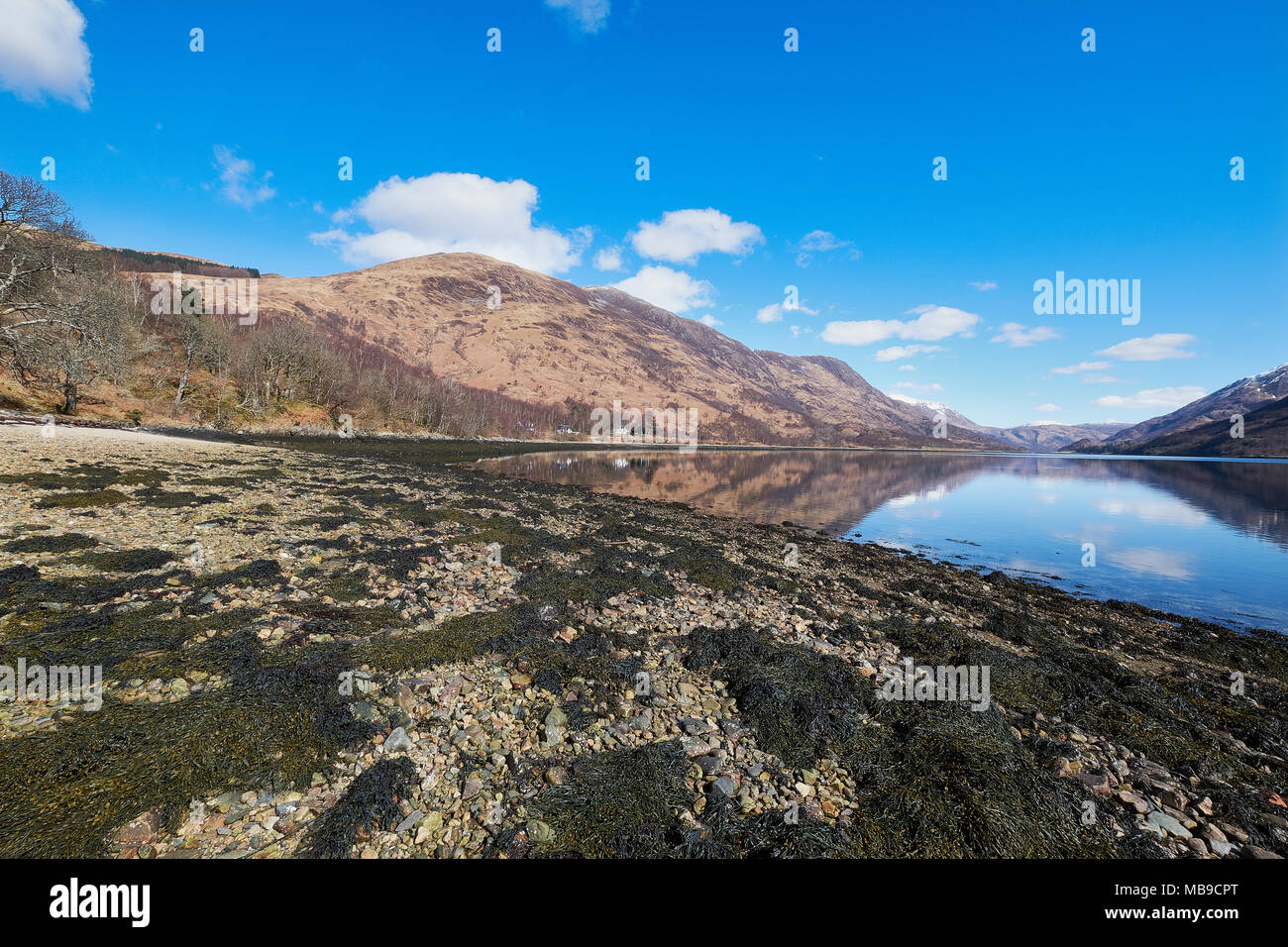 Scotland Loch Leven, Glencoe Stock Photo - Alamy