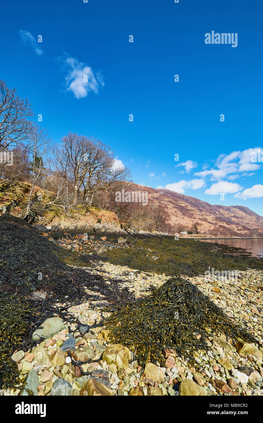 The park at loches hi-res stock photography and images - Alamy