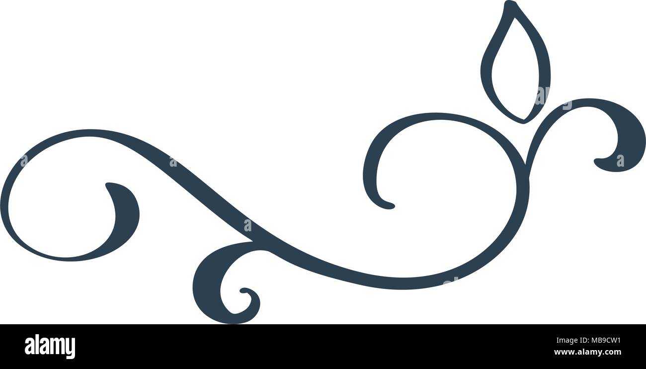 Hand drawn border flourish separator Calligraphy designer elements ...