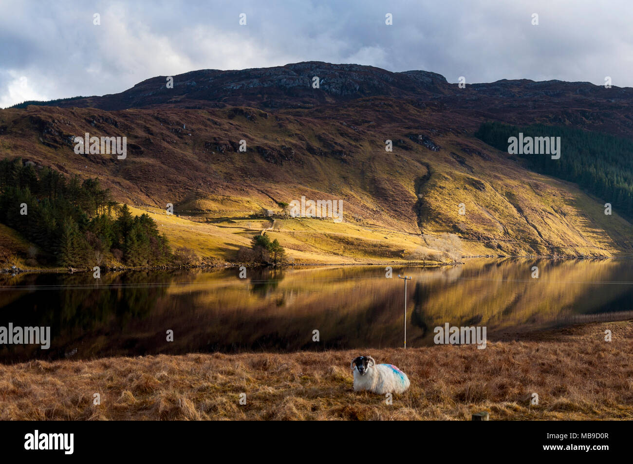 Fintown, County Donegal, Ireland, Still reflections in Lough Finn Stock ...