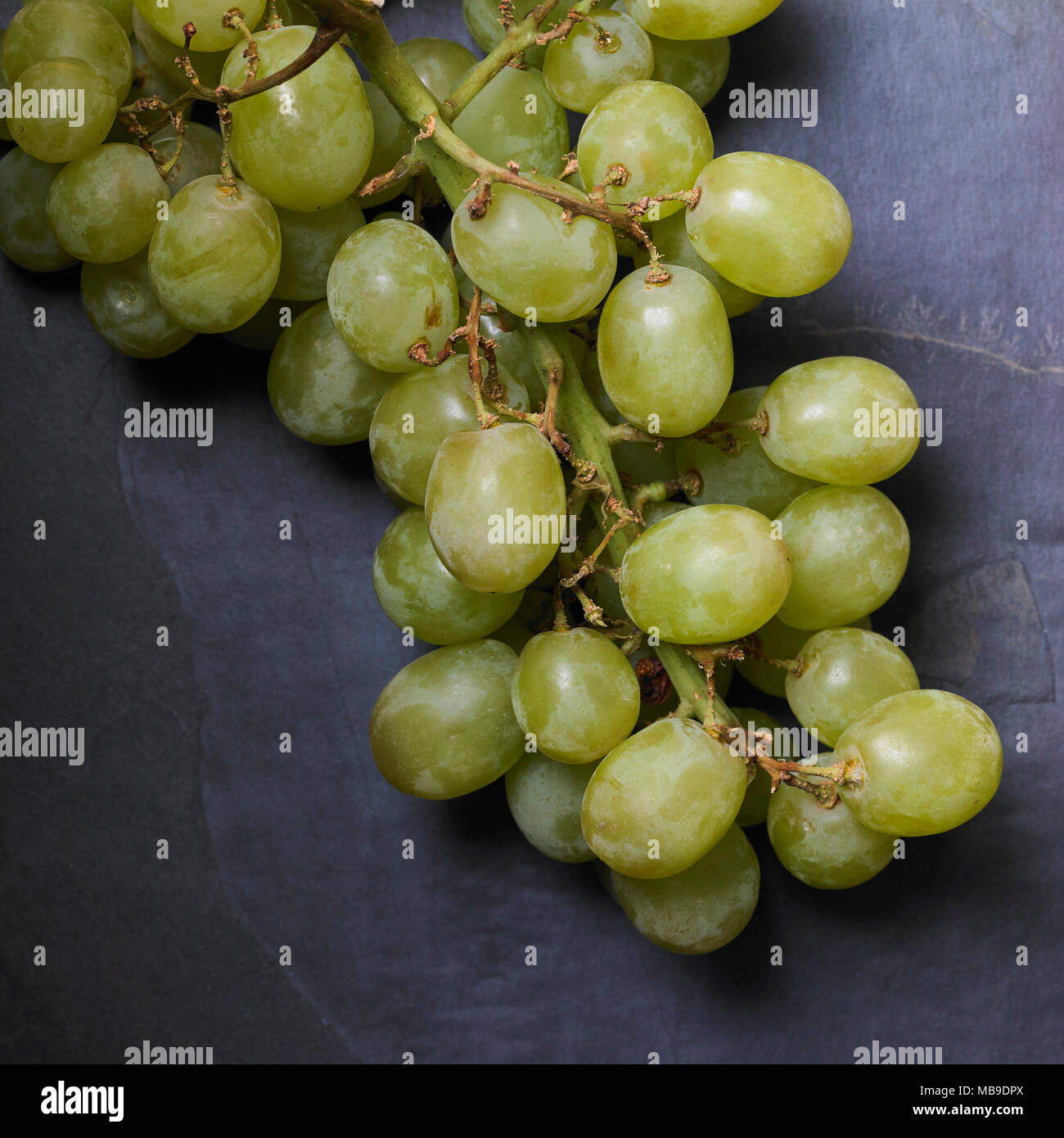 White Seedless Grapes High Resolution Stock Photography and Images - Alamy