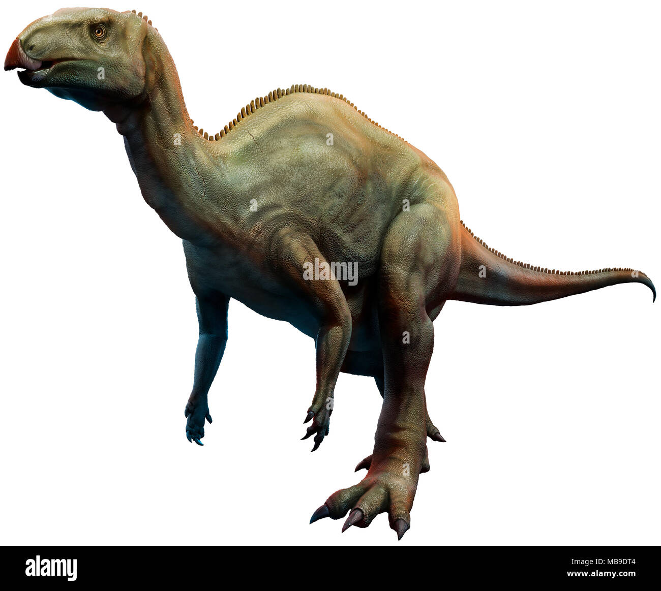 Camptosaurus Stock Photo - Alamy