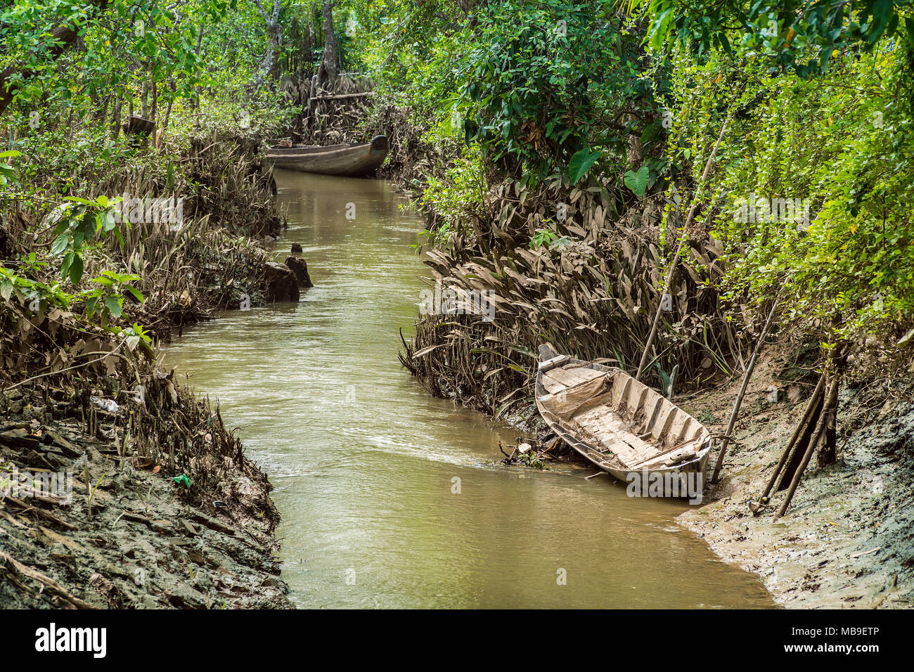 the boat at the channel in the Mekong Delta Stock Photo - Alamy