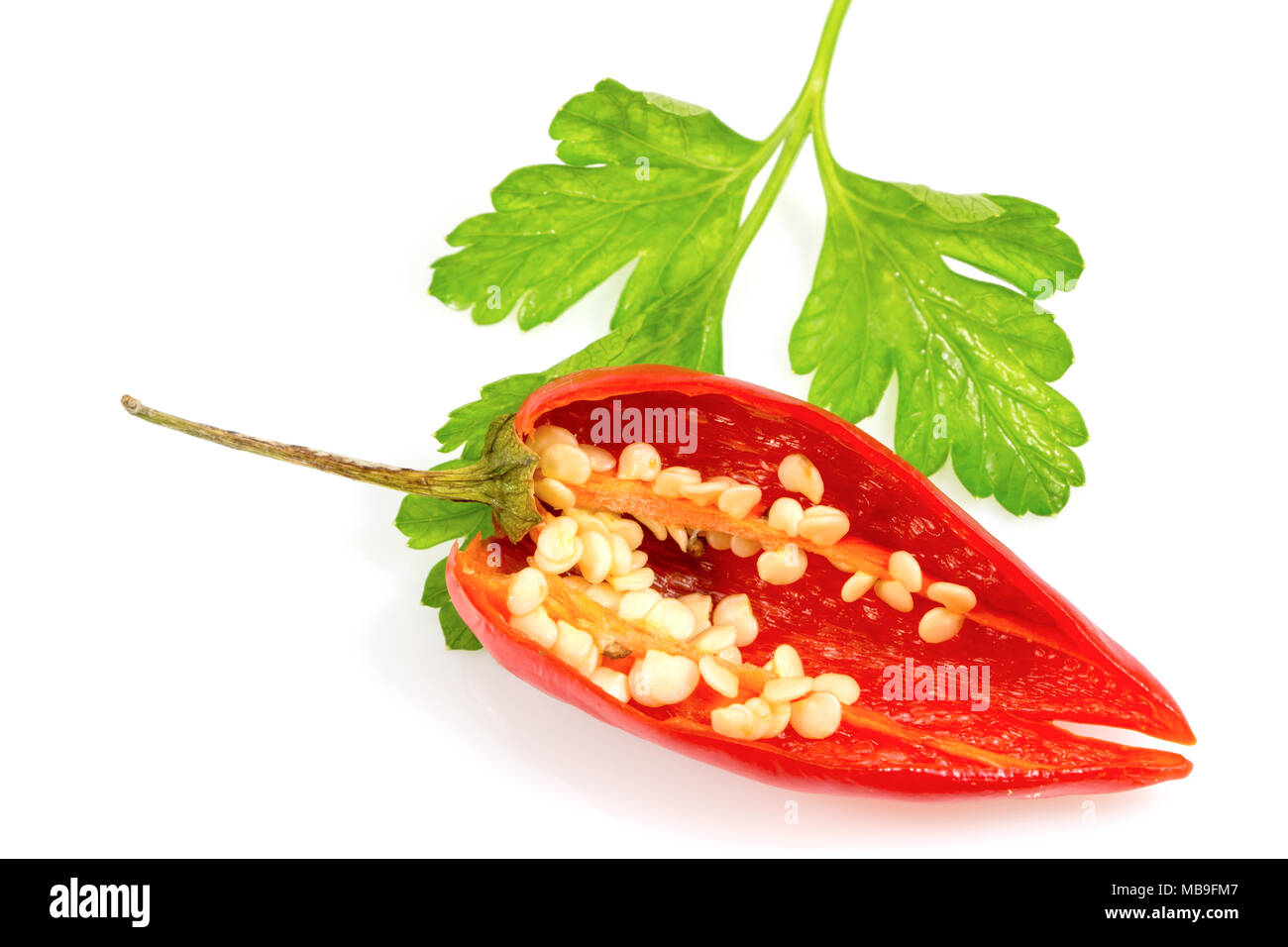 Close up of Red chilli pepper with seeds and green parsley isolated on ...