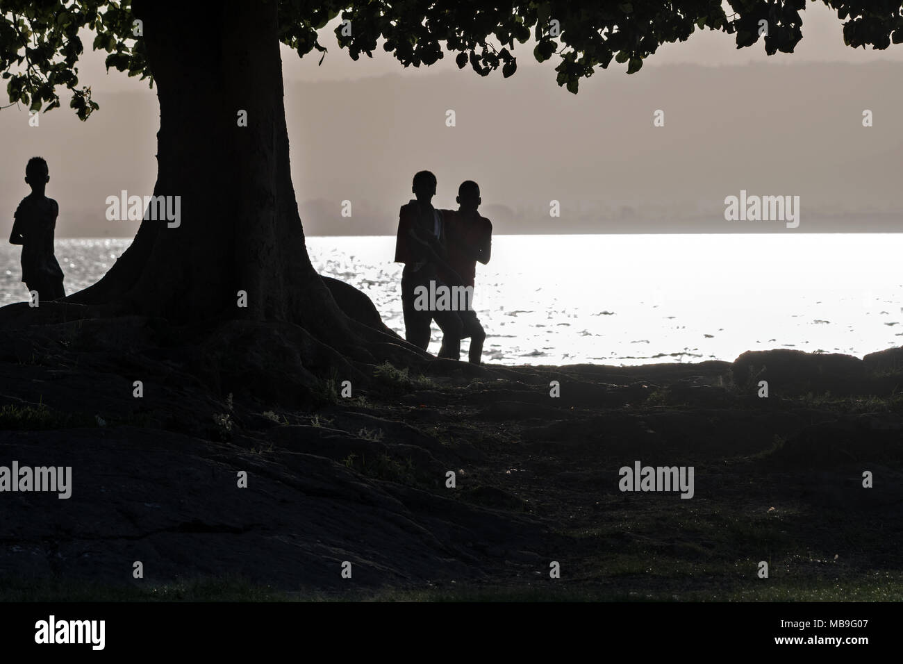 silhouettes, lake Awasa, Ethiopia Stock Photo - Alamy