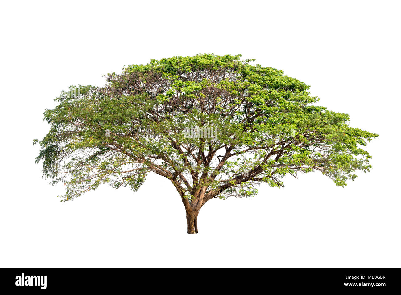 Use webpage hi-res stock photography and images - Alamy