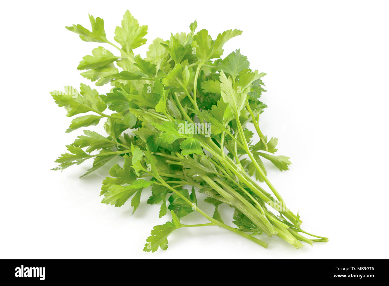 Fresh green parsley, parsley herb isolated on white background with ...