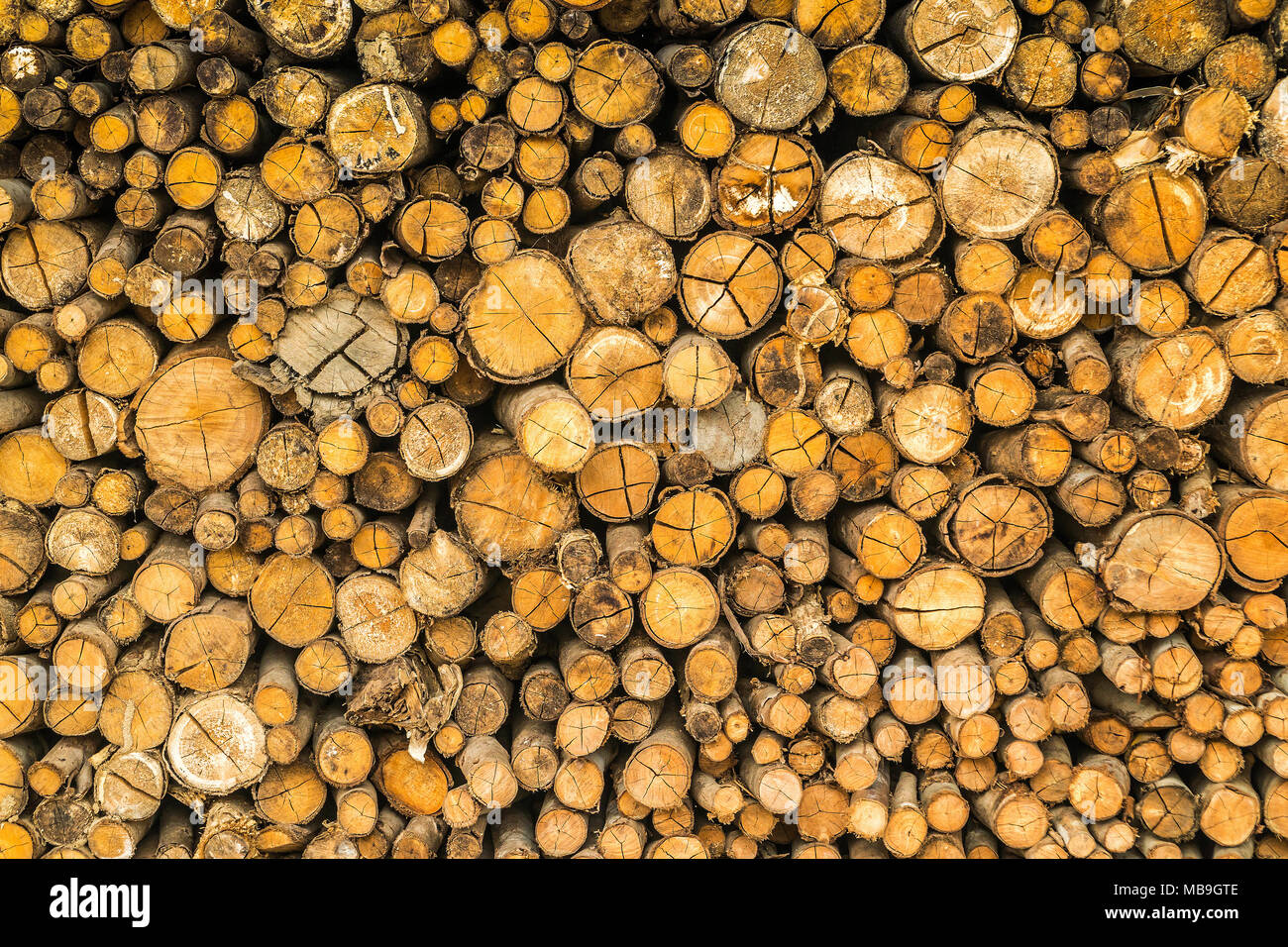 Stack of logs chopped trees Stock Photo - Alamy
