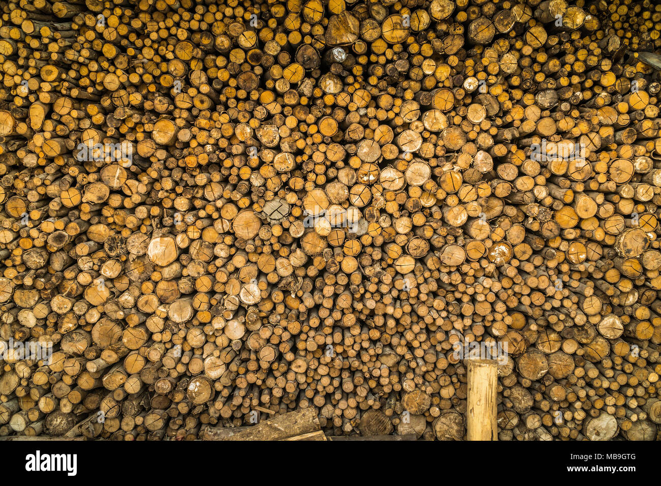 Chopped wood stack oak hi-res stock photography and images - Alamy