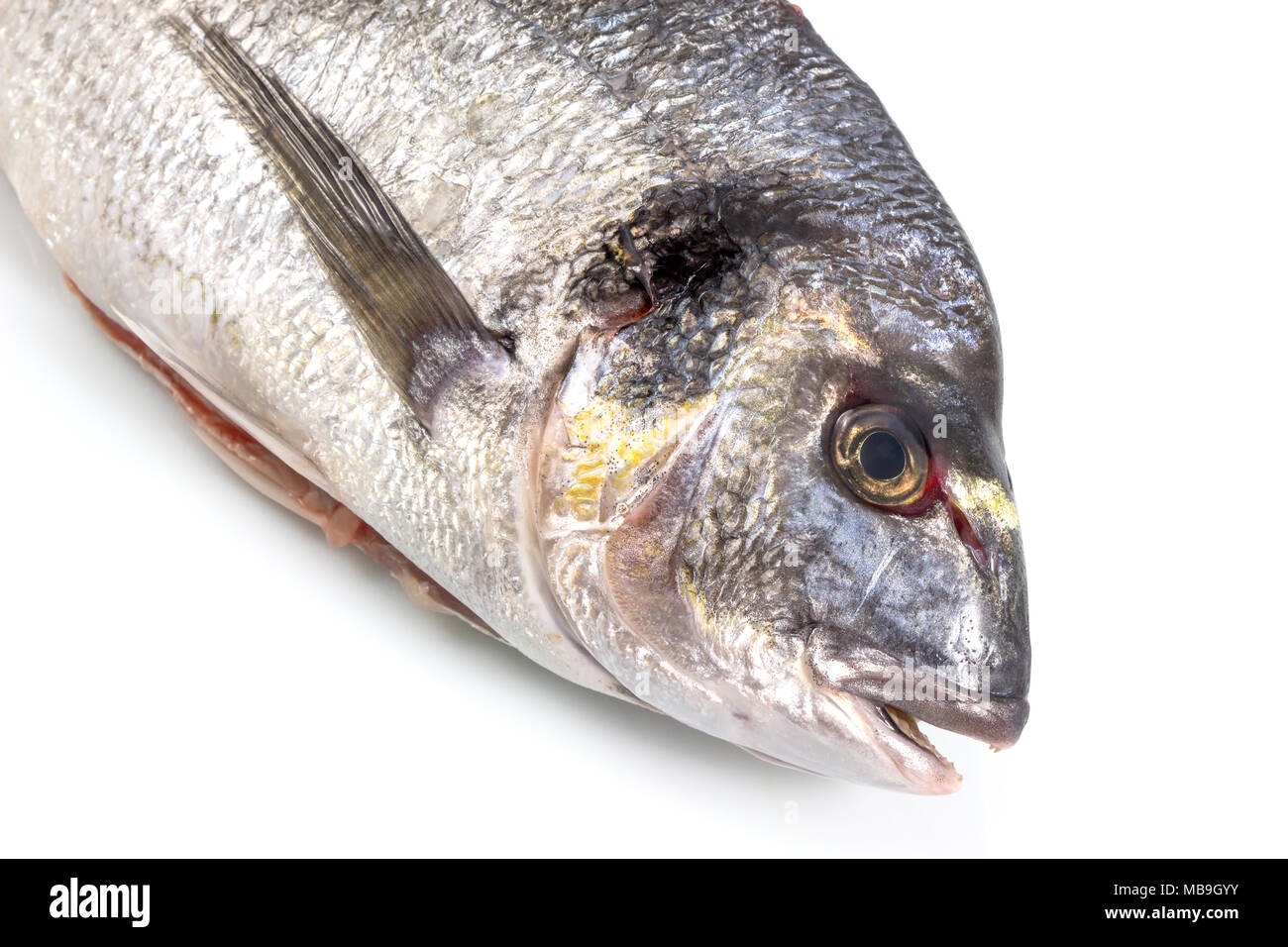 Fresh raw sea fish with green parsley isolated on white background ...