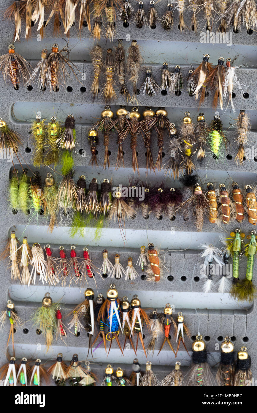 Wet Fly Nymph Flies Stock Photo - Alamy