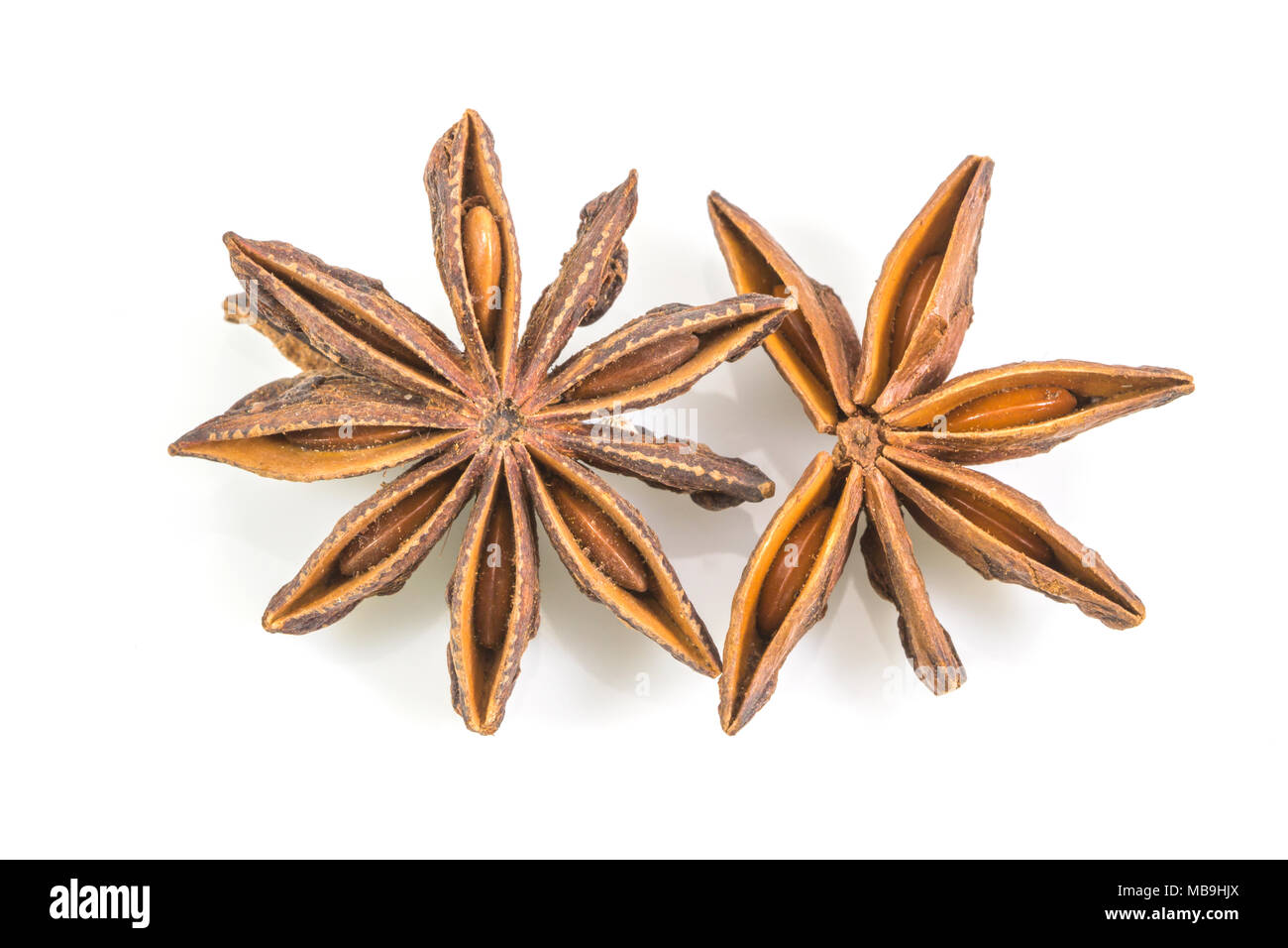 Star Anise Plant High Resolution Stock Photography and Images - Alamy