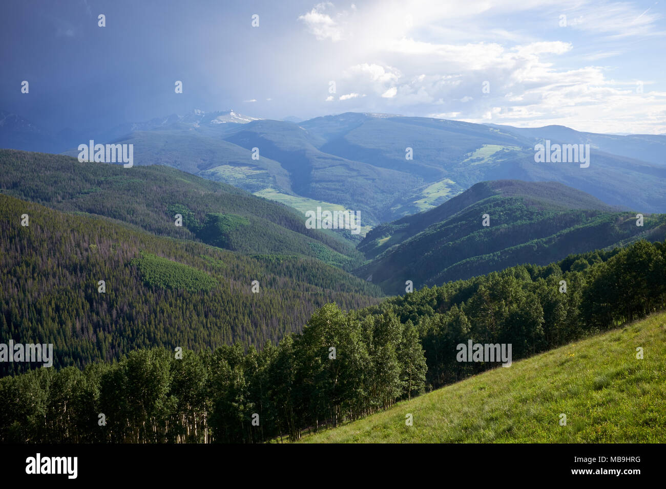 Forested valley hi-res stock photography and images - Alamy