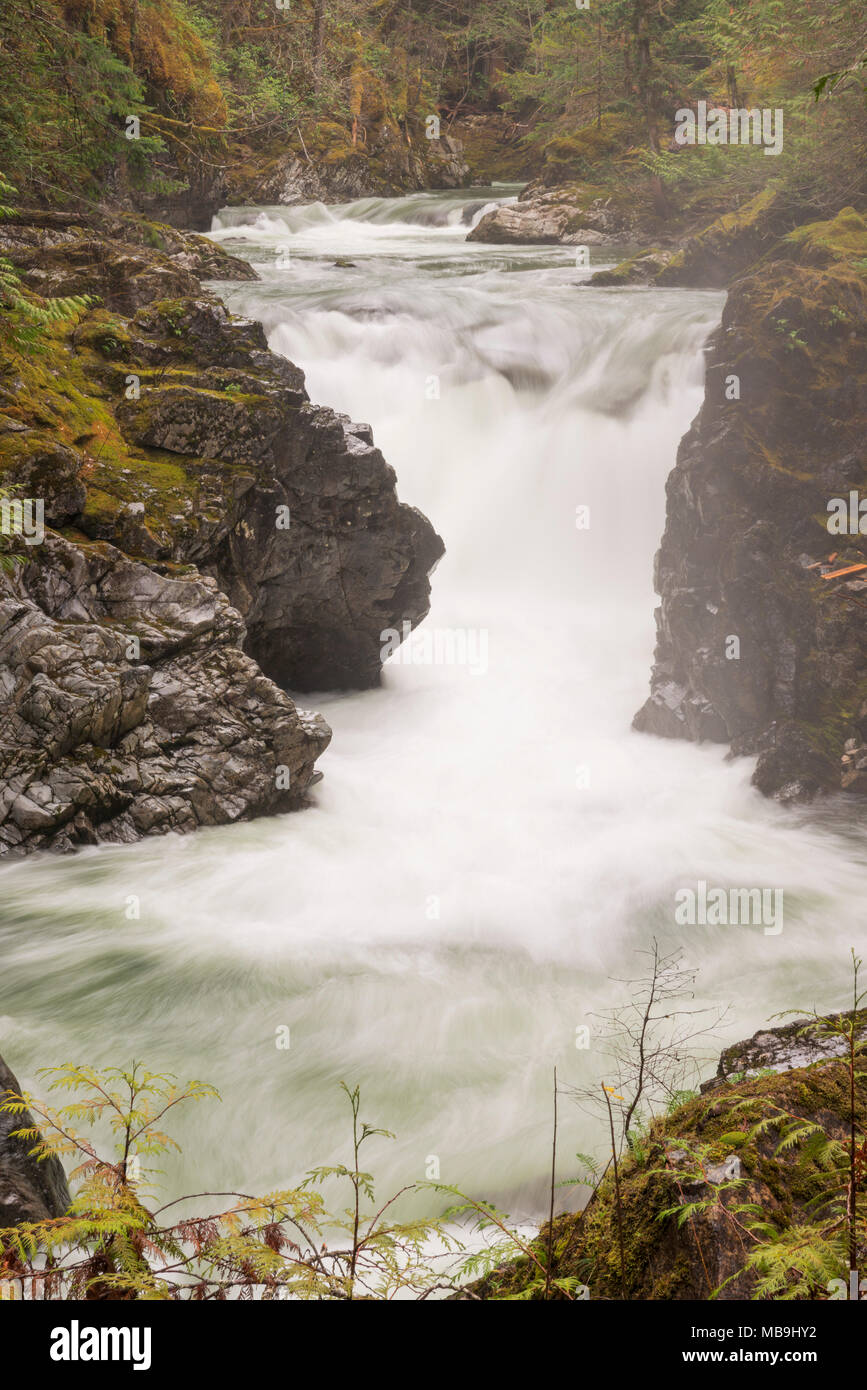 Little Qualicum Falls, Vancouver Island Stock Photo - Alamy